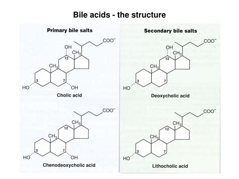 Ppt Cholesterol And Its Transport Powerpoint Presentation Free