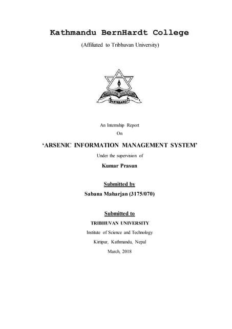 Internship On Web Development Pptx