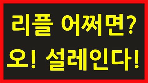 리플 코인 전망 설레이는 시츄에이션 으라차 YouTube