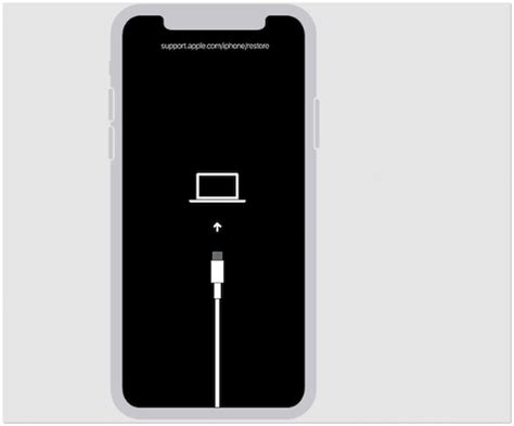 How Many Attempts To Unlock Iphone Or Ipad [2024 Update]