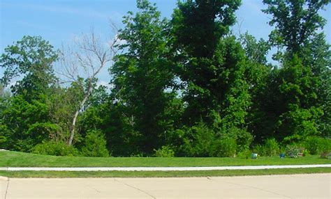 Don Ecker David Rudiak Lawsuit Threats And Odd Video