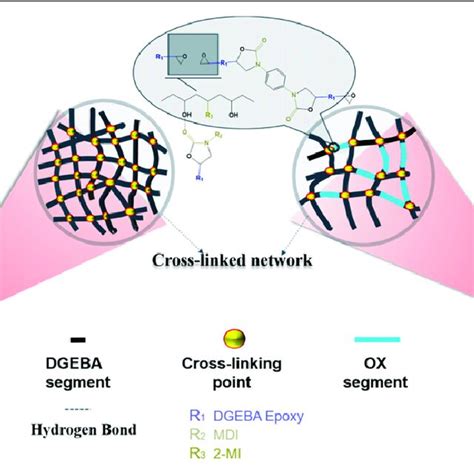 The Epoxy Functional Group Reacts With Isocyanate To Form Ox Segment