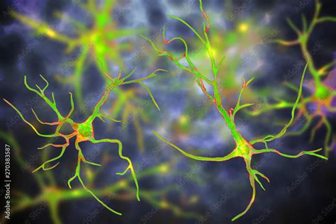Astrocytes Brain Glial Cells 3d Illustration Astrocytes Also Known