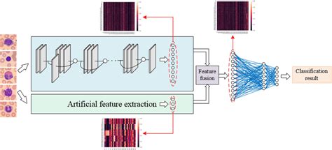 fusion of deep learning features and artificial features download