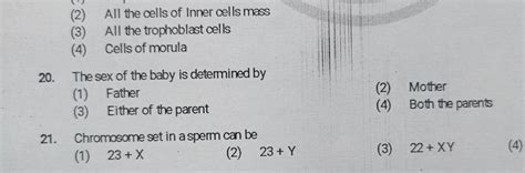 The Sex Of The Baby Is Determined By Filo