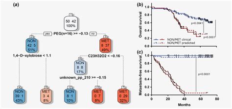 the dt classification models for metastasis prognosis a a feature