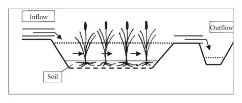 Schematic Representation Of The Free Water Surface Constructed Wetland