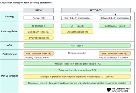 Reperfusion Strategy In Acute St Elevation Acute Myocardial Infarction