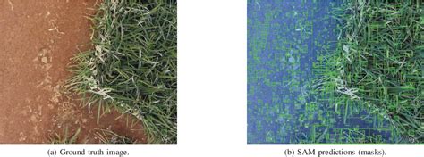 Figure 1 From Object Detection In Pineapple Fields Drone Imagery Using Few Shot Learning And The