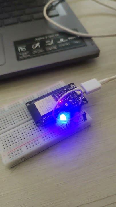 Project Web Server Youtube