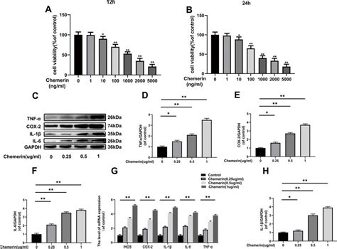 Effects Of Chemerin On The Viability And Inflammatory Responses Of