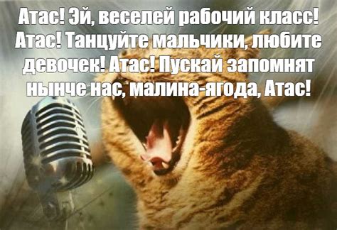 Создать мем кот зевает во весь рот счастливый кот картинки кошка с микрофоном Картинки