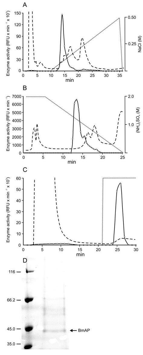 Purification Of Aspartic Proteinases From Tick Midgut Homogenates Download Scientific Diagram