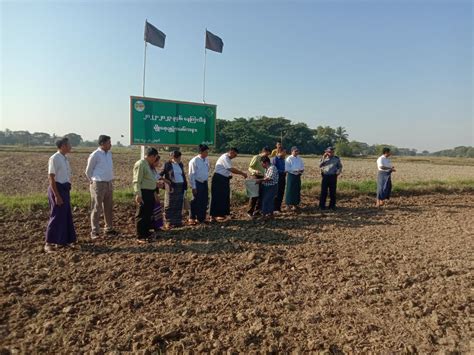 သုံးခွမြို့၌ ၂၀၂၂ ၂၀၂၃ ခုနှစ် ရေဆင်းစပ်မျိုးနေကြာ ၁ ဆောင်း‌နေကြာသီးနှံ