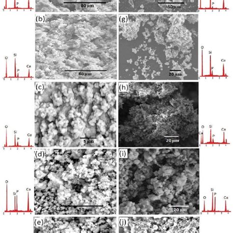 x ray diffraction patterns of α tcp a and β tcp b particle size