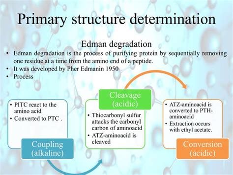 Presentation Structural Proteomicspptx