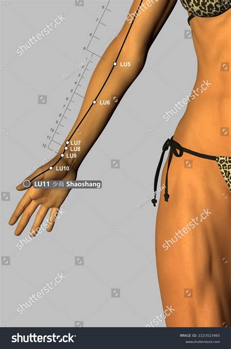 Drawing Acupuncture Point Lu11 Shaoshang 3d Stock Illustration