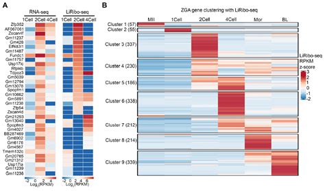上海微载生物医药