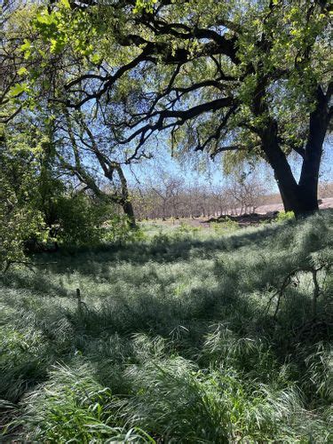 2023 Best Trails In Caswell Memorial State Park Alltrails