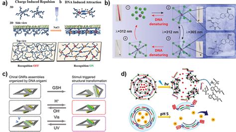 Nanofabrication Of Hybrid Dna Architectures Based On Dna Assembly‐based Download Scientific