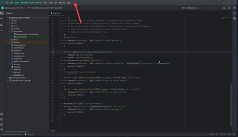 Main Toolbar Not Present On Goland 20232 With New Ui On Other Windows