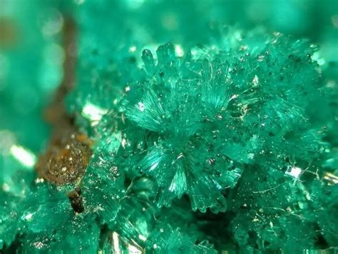 Dioptase The Emerald Green Copper Mineral Guide To Identification And Care