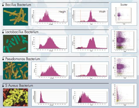 Bactocount Ibcm Bentley Instruments Inc