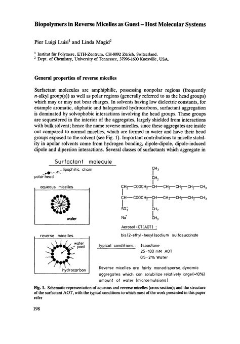 Micelle Cross Section Big Chemical Encyclopedia