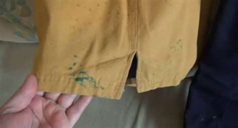 Як видалити фарбу для волосся з одягу Читайте на Ukr Net