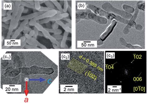 Sem A And Tem B And C 1 Hrtem C 2 Images And The Fft Pattern Download Scientific