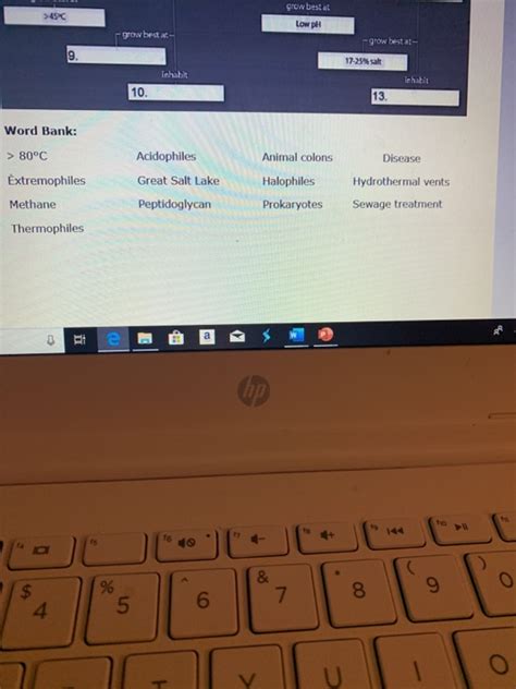 Solved Hw 11 2 Archaea Concept Map Domain Archaea Do Not 1