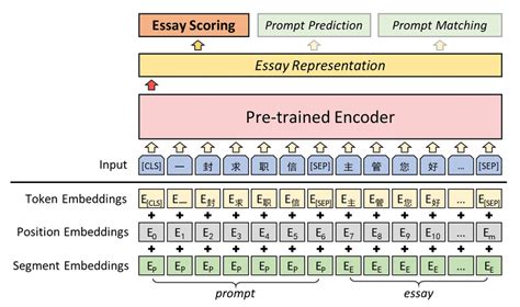 The Proposed Framework 一封求职信 Is The Prompt Of The Essay The English Download Scientific