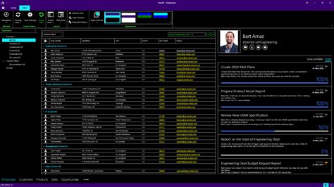 Application Skins Winforms Controls Devexpress Documentation