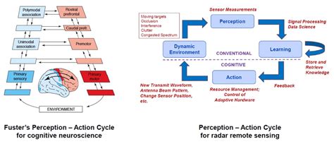 Perception Action Cycle For Radar Remote Sensing Download Scientific