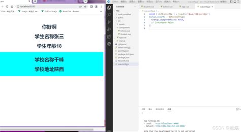 vue启动时的错误 vue3项目启动失败error config must export or return an o csdn博客