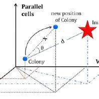 Multi Objective Optimization Procedure Download Scientific Diagram