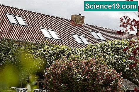 Qual è la differenza tra batterie alcaline e non alcaline Portale Scientifico E Popolare