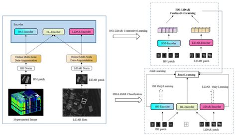 Remote Sensing Free Full Text A Novel Dual Encoder Model For Hyperspectral And Lidar Joint
