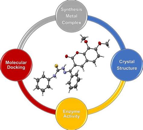 新型香豆素 缩氨基硫脲基 Zn Ii 、ni Ii 和 Co Ii 金属配合物：胆碱酯酶、α 淀粉酶和 α 葡萄糖苷酶活性的研究以及分子对接研究 Chemistryselect X Mol