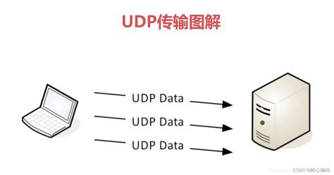 Websocket Udp