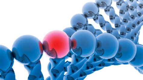 CRISPR Cas Workshop Technology Foundations Applications Principles