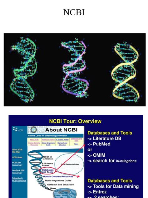 Lecture 4 Ncbi Database Pdf National Center For Biotechnology