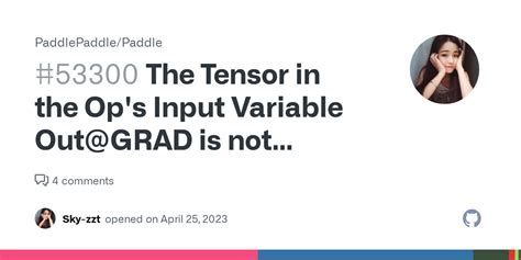 The Tensor In The Ops Input Variable Outgrad Is Not Initialized