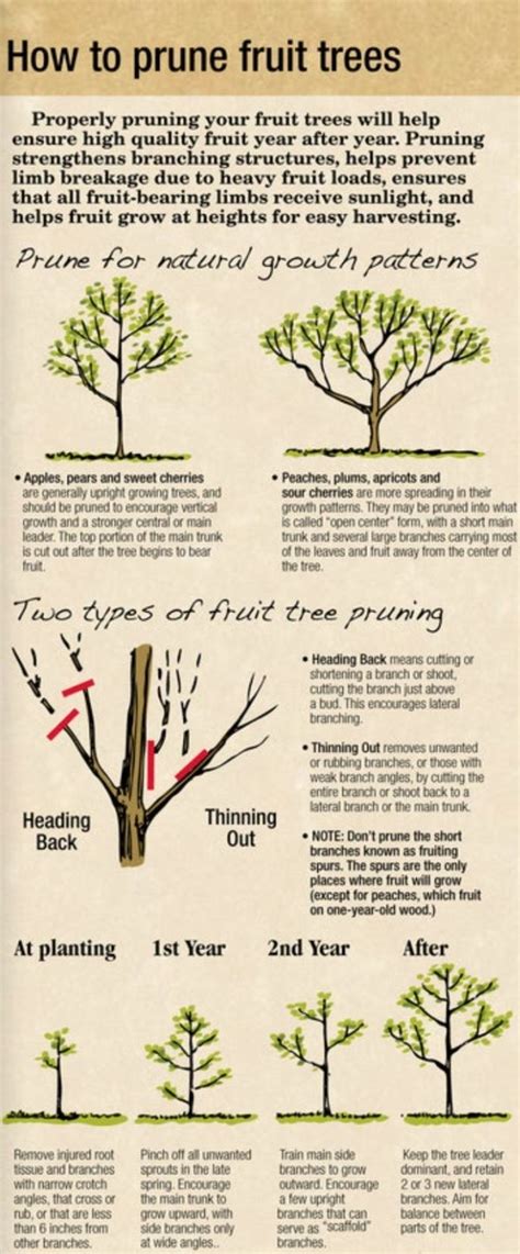 Best Farming Ideas Tips Images On Pinterest Gardening