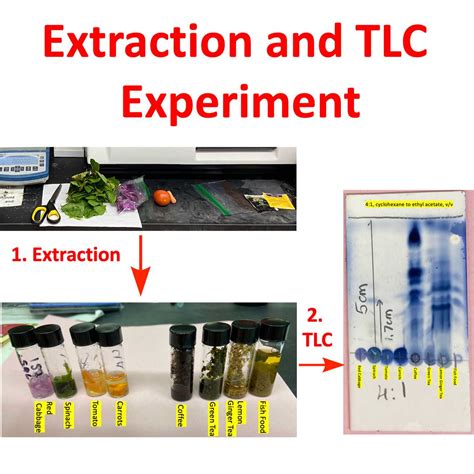 Extraction Of Food Items And Analysis With Thin Layer Chromatography