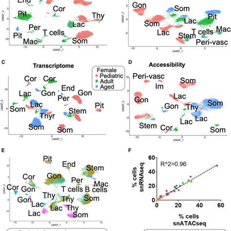 Merged Analysis Of Same Sex Human Pituitaries A E Umap Representation Download Scientific