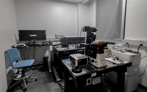 Department Of Physics Biophysics