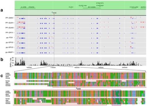 A Snp Genotypes The Genomic Position Of Dna Sequence Variants Dsv Download Scientific