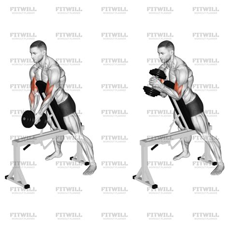 Dumbbell Single Spider Curl With Chest Support Exercise Guide