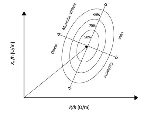 Example Of A Calibration Model Standardized By The Height H